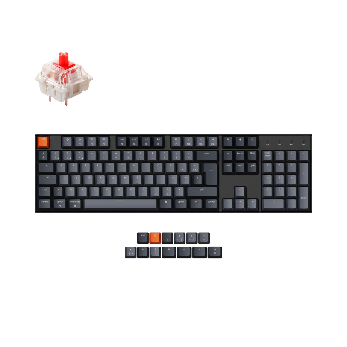 Clavier mécanique sans fil Keychron K10 (disposition France ISO-FR ...