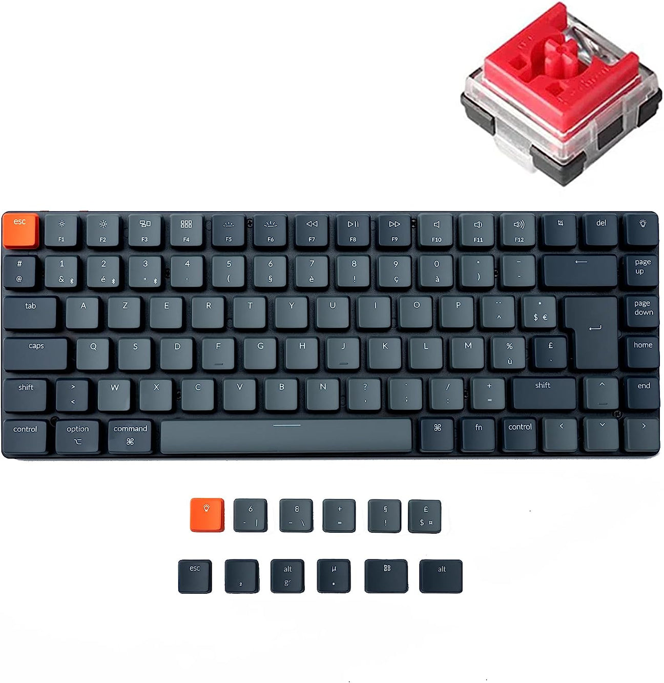 FR-ISO Layout