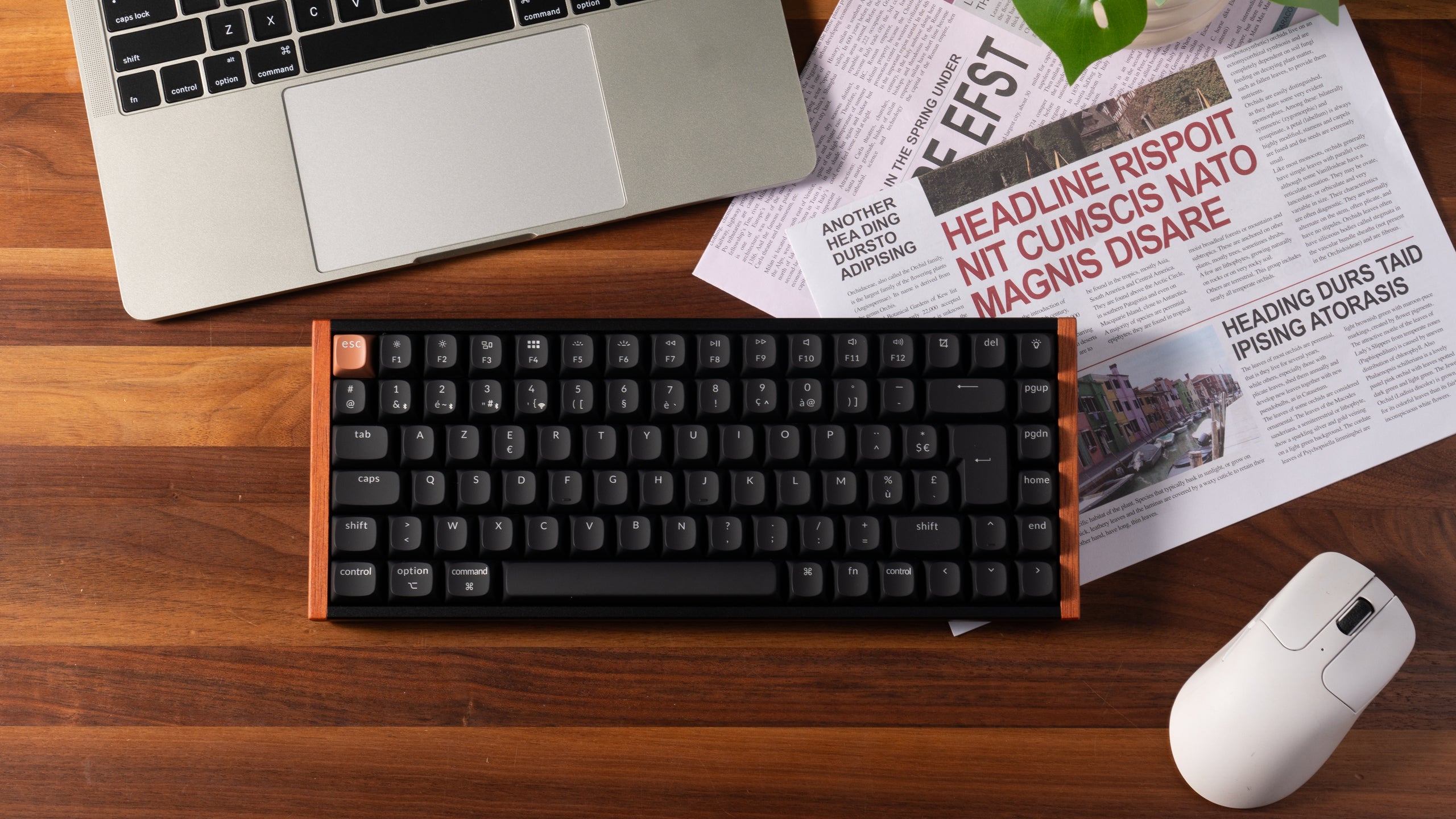 Keychron France | Claviers mécaniques haut de gamme pour Mac et Windows