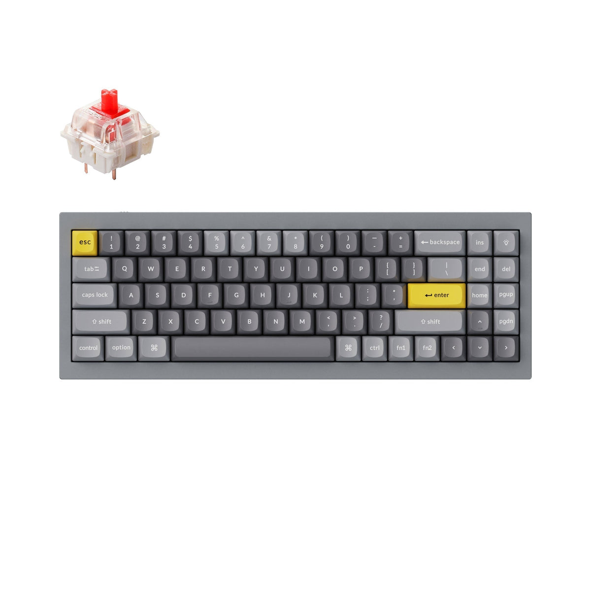 70% Layout Keyboards – Keychron France