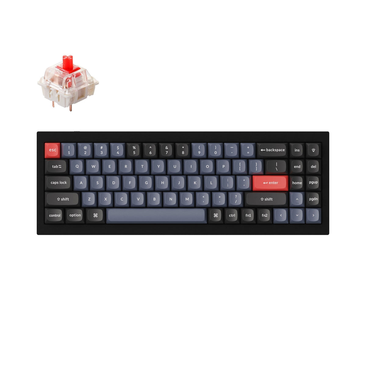 70% Layout Keyboards – Keychron France