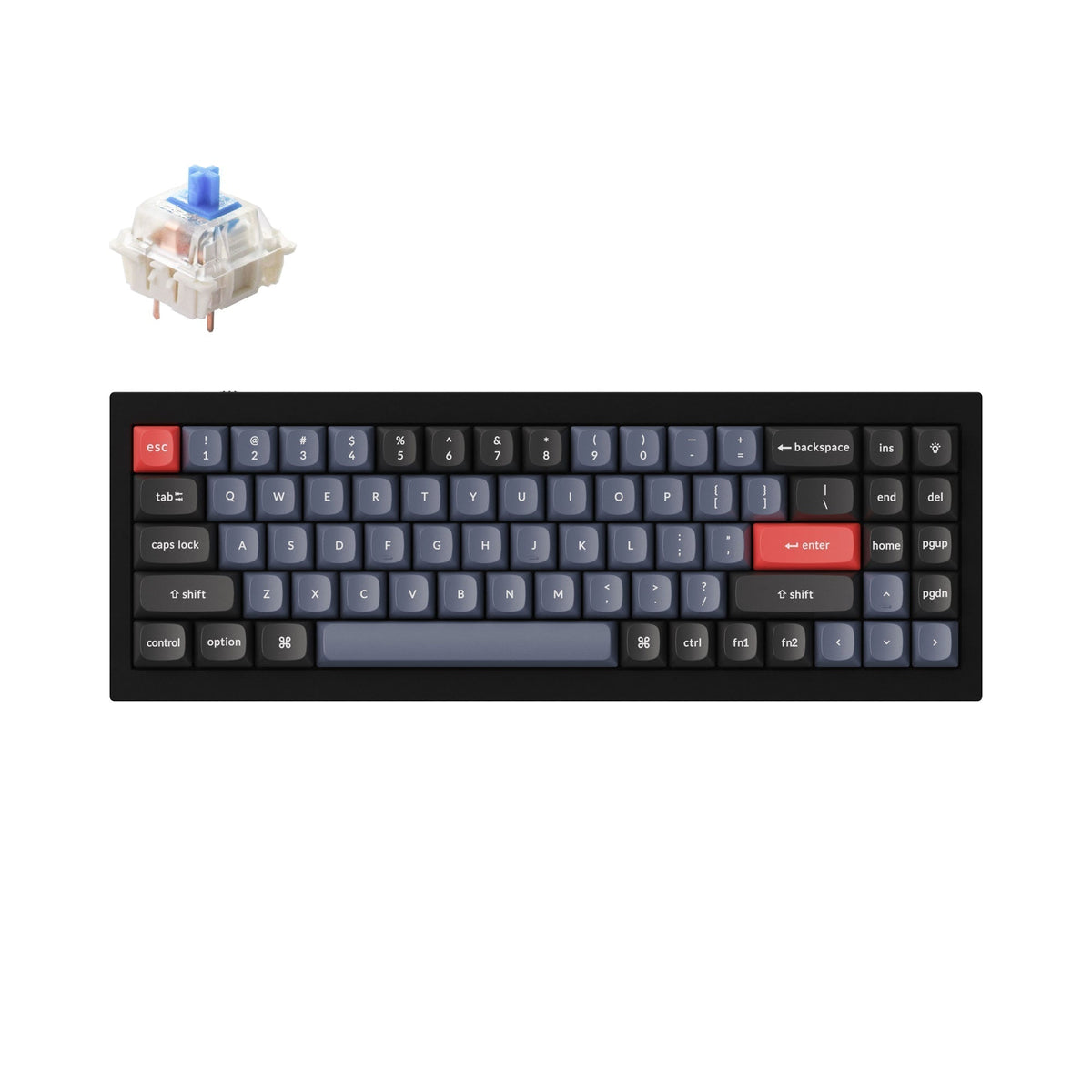 70% Layout Keyboards – Keychron France
