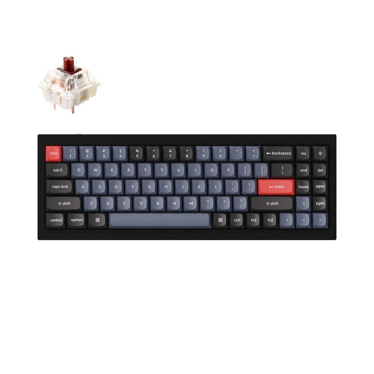 70% Layout Keyboards – Keychron France