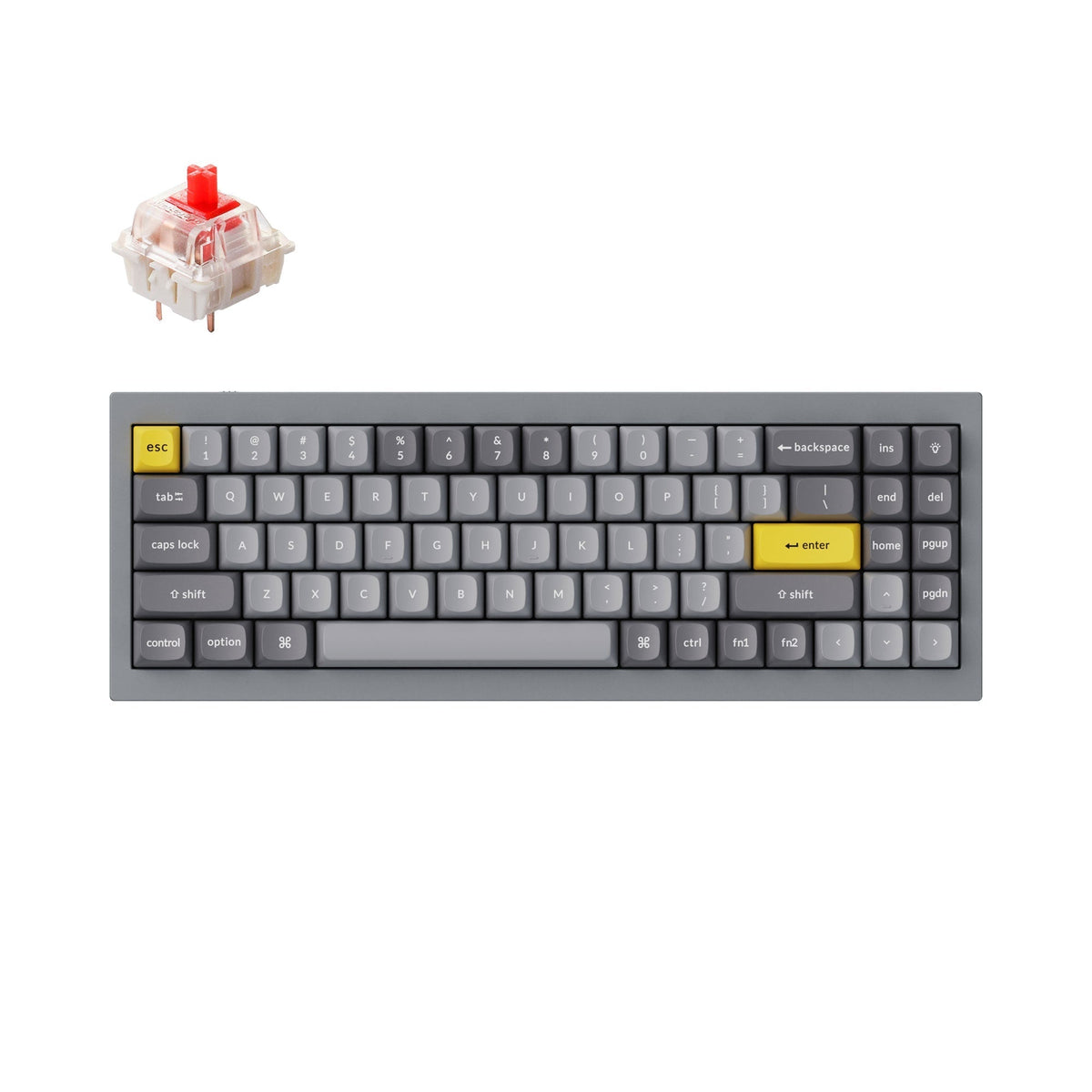 70% Layout Keyboards – Keychron France