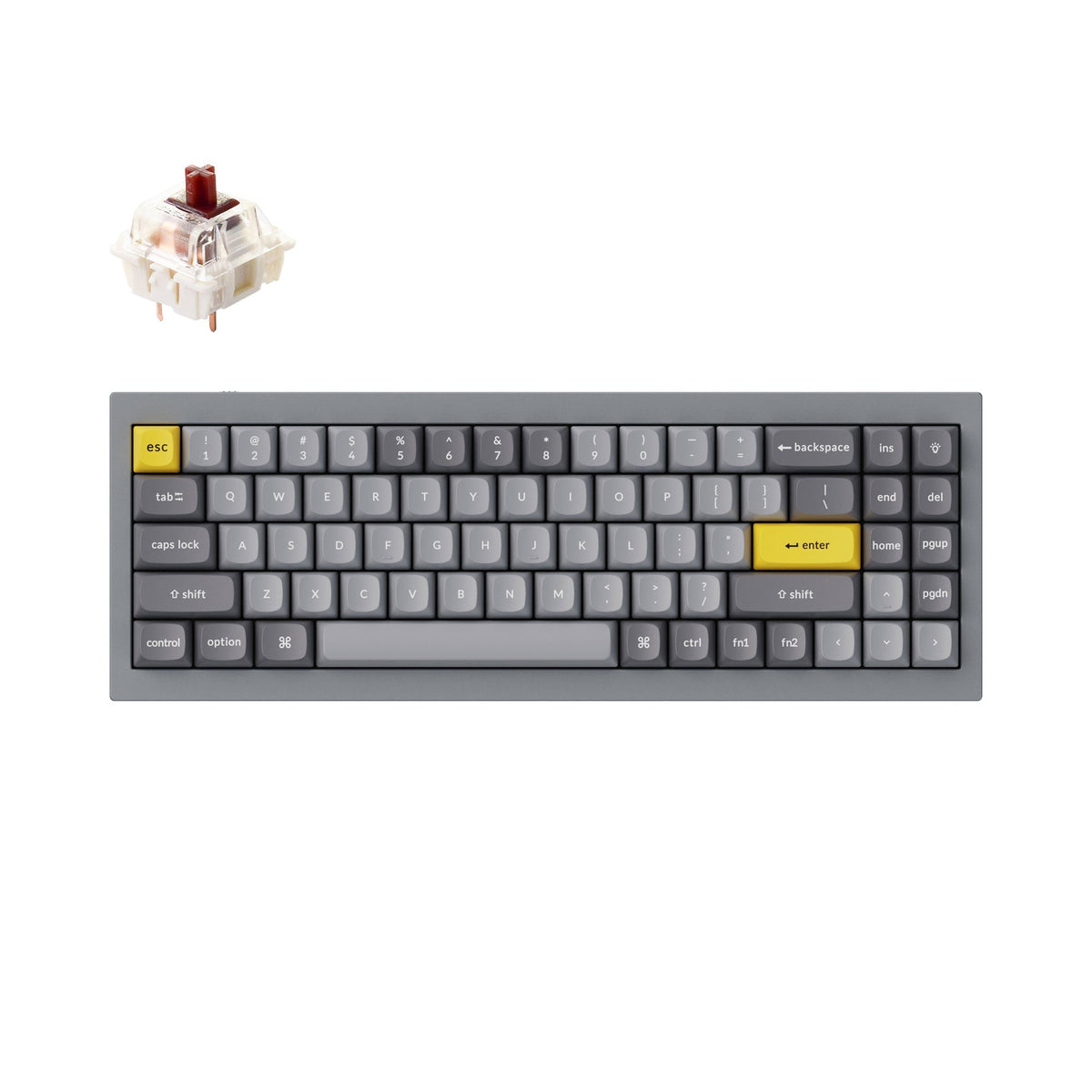 70% Layout Keyboards – Keychron France